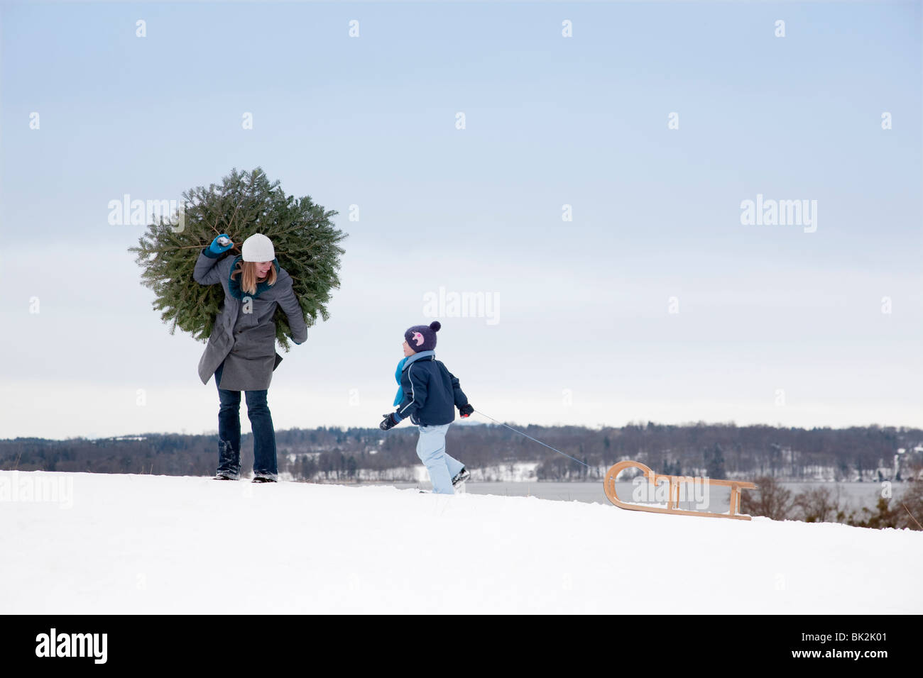 Mother and son carrying christmas tree Stock Photo - Alamy