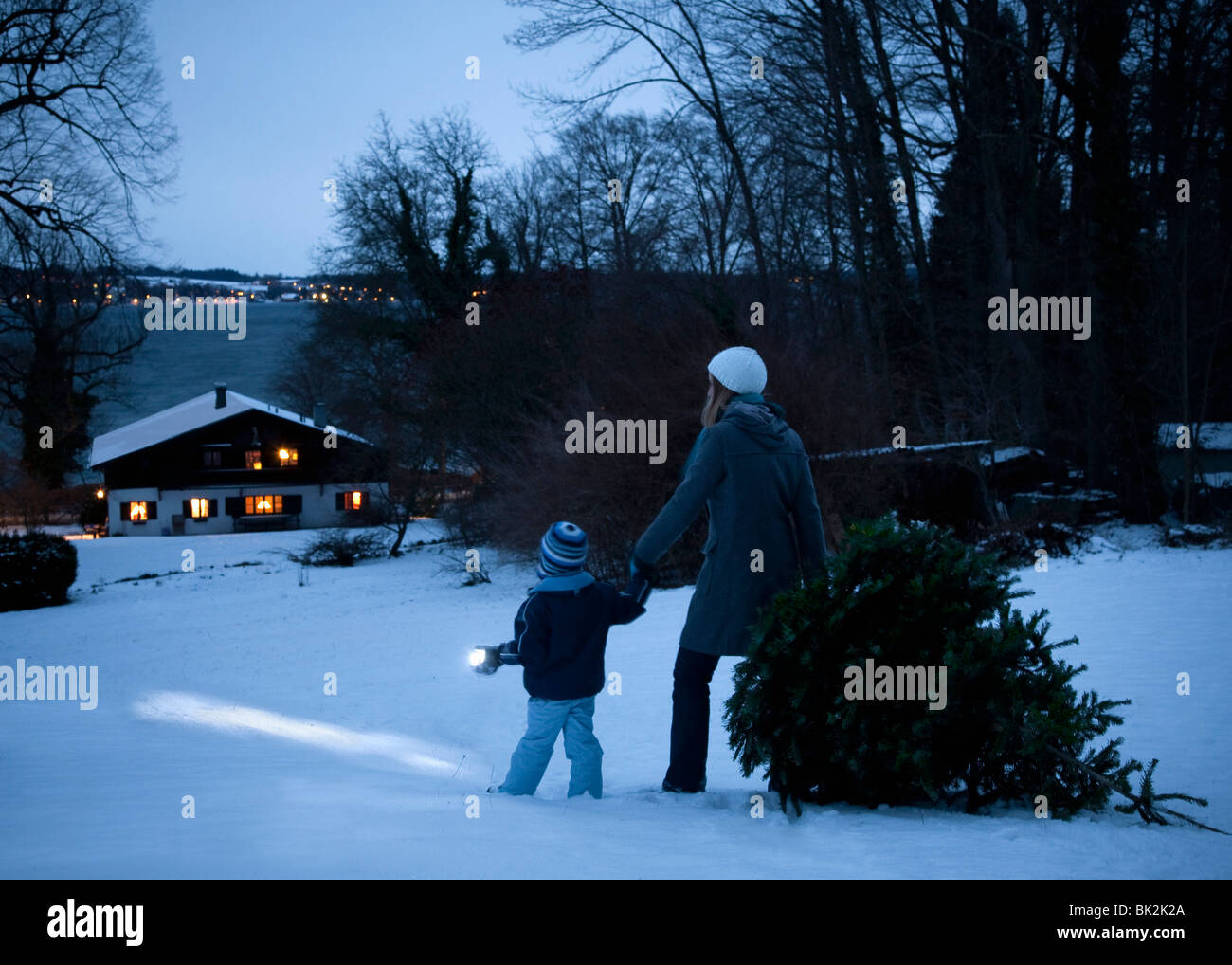 Child dragging tree hi-res stock photography and images - Alamy