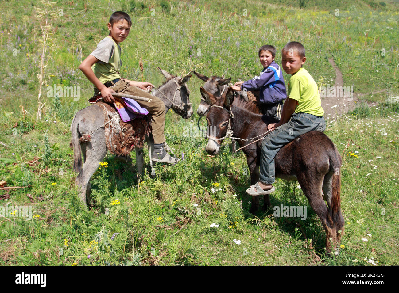 Donkeys and people hi-res stock photography and images - Alamy