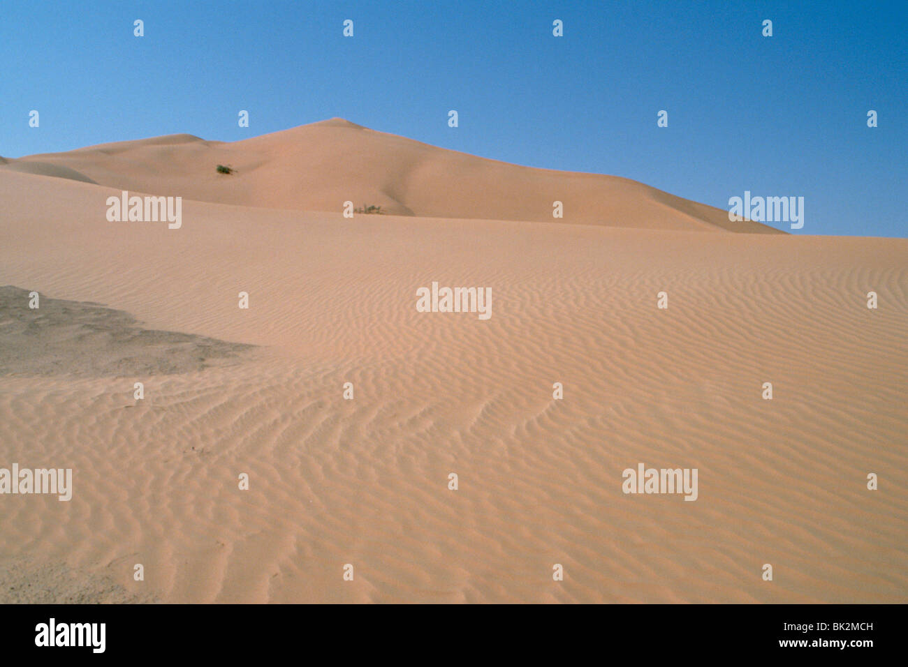 The Empty Quarter, Oman Stock Photo - Alamy