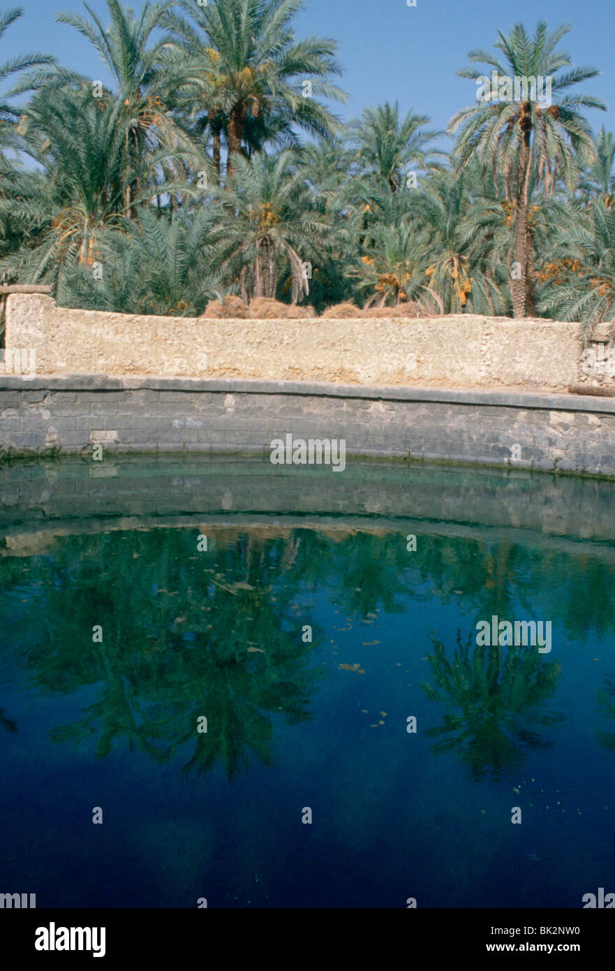 Cleopatra's Pool, Siwa, Egypt Stock Photo - Alamy