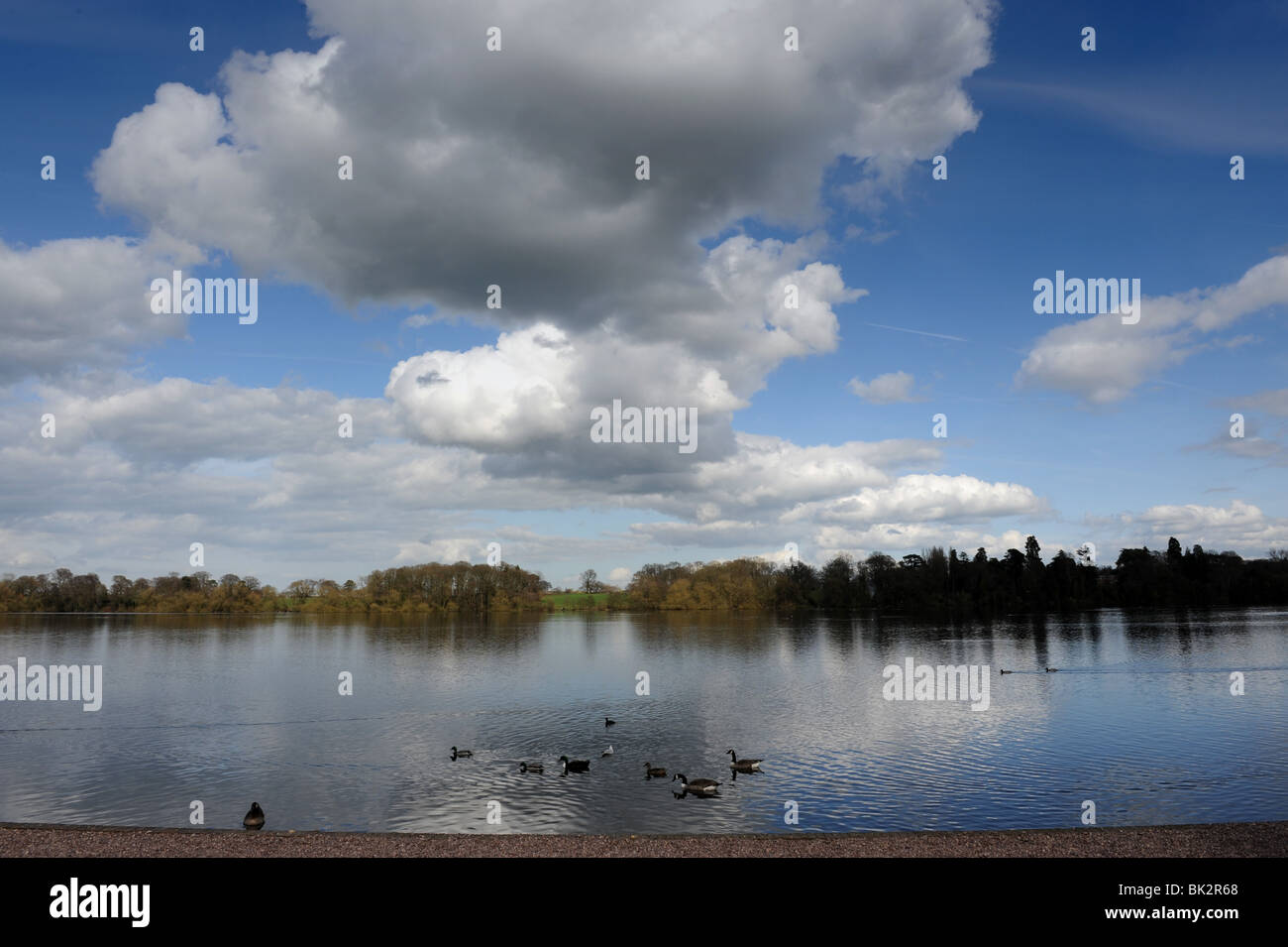 Ellesmere mere shropshire hi-res stock photography and images - Alamy