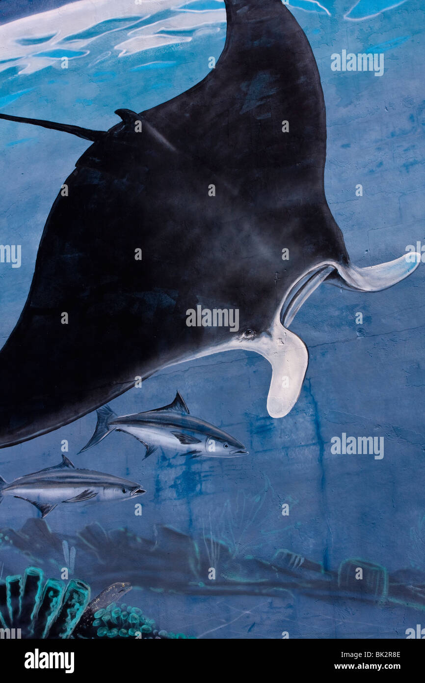A mural of ocean creatures painted onto a building wall in Key West ...