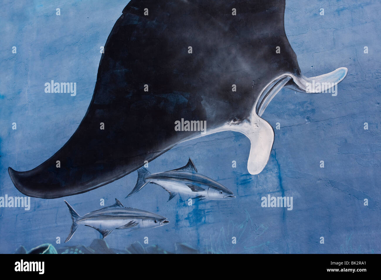 A mural of ocean creatures painted onto a building wall in Key West ...