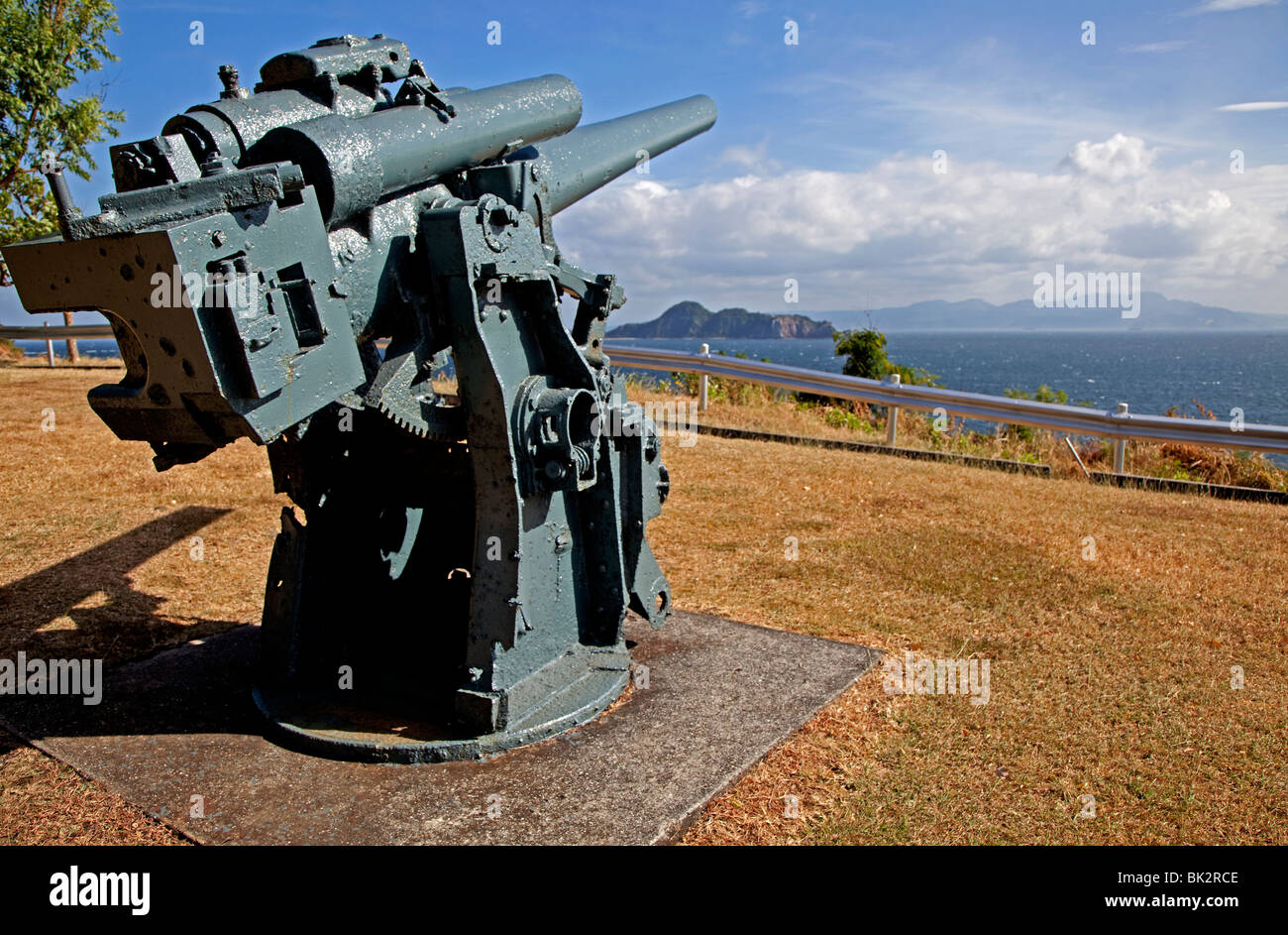 Biggest Gun In The World