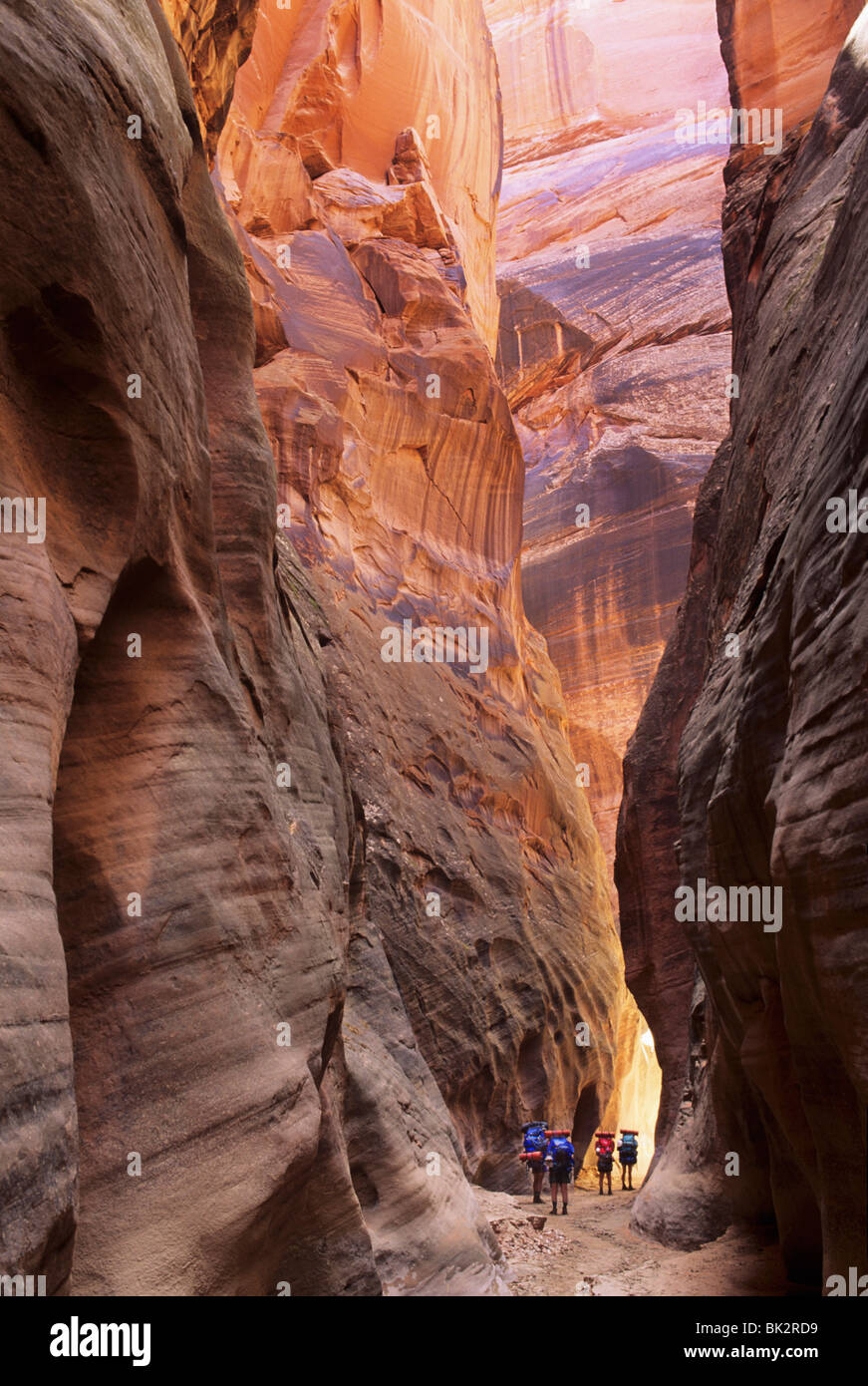 Paria canyons wilderness hi-res stock photography and images - Alamy