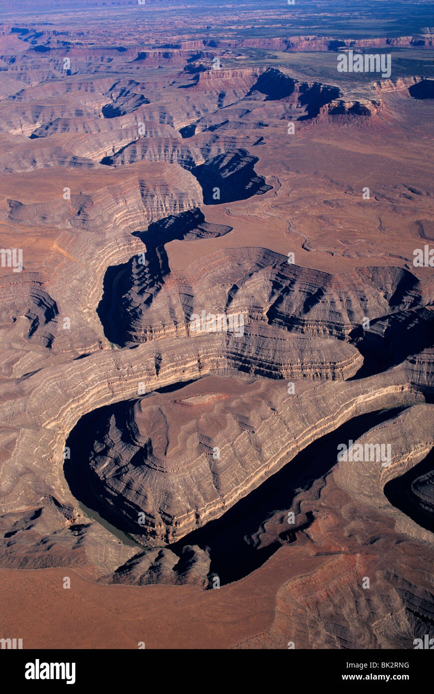 Aerial view of the San Juan River cutting through Raplee Anticline west ...
