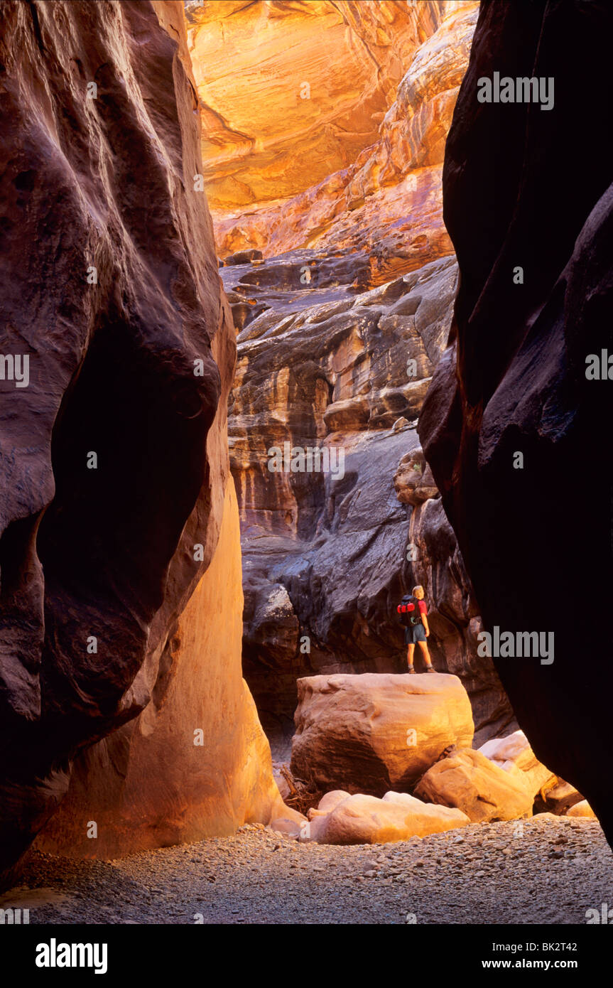 Black Hole Of White Canyon