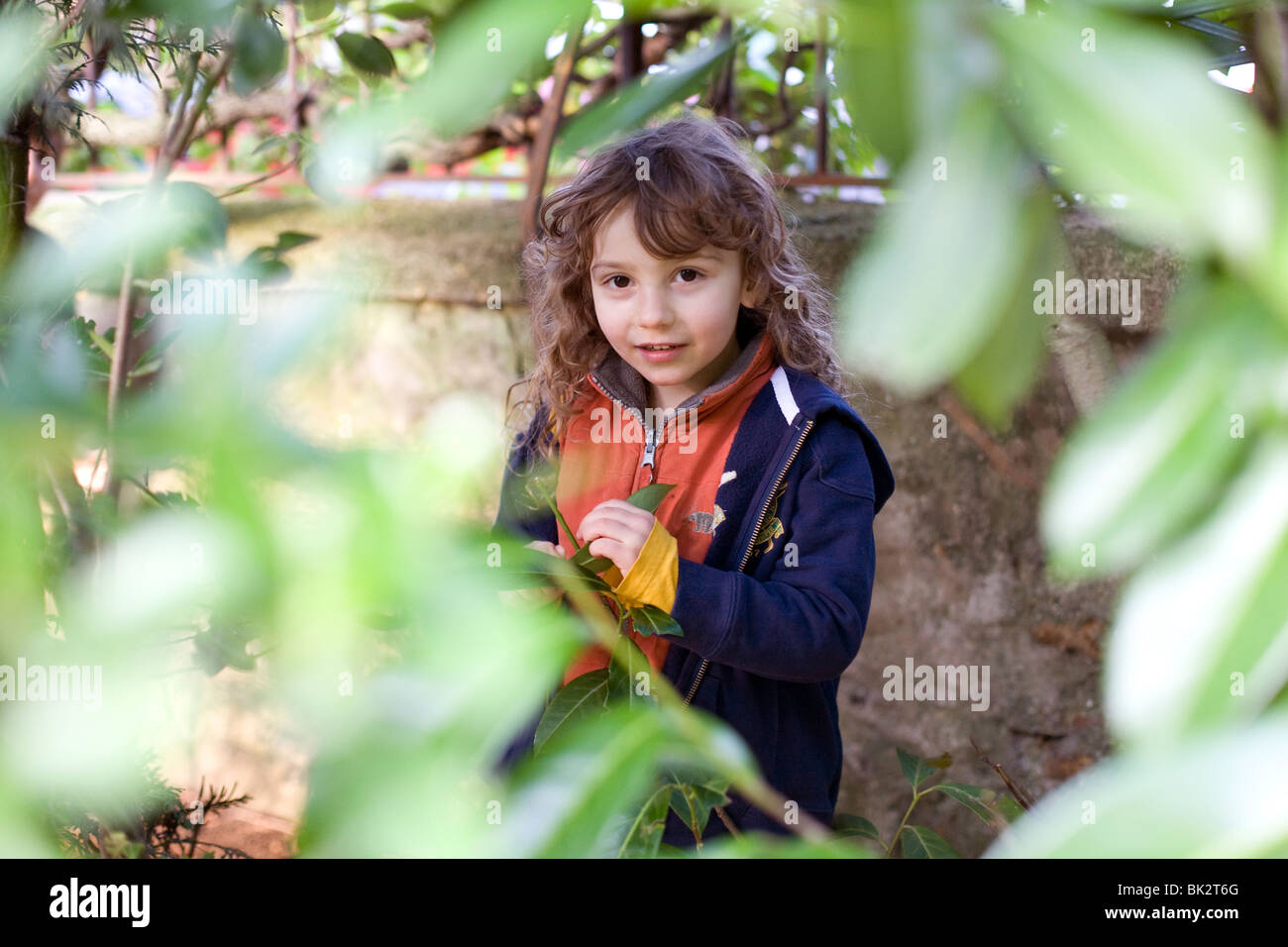 boy hiding in the tree Stock Photo - Alamy