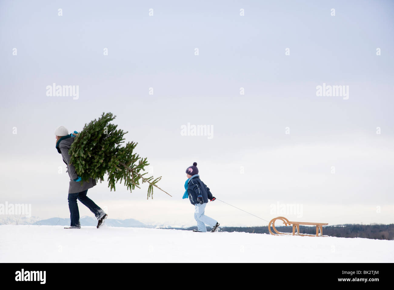 Christmas tree pulling snow hi-res stock photography and images - Alamy
