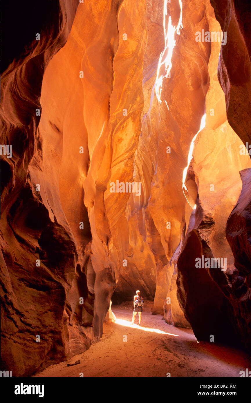 Hiker in the Navajo Sandstone narrows of Buckskin Gulch in the Paria ...