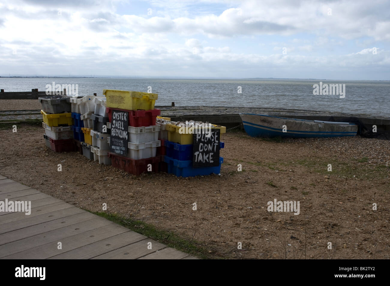 Oyster shell recycling on Whitstable sea front Stock Photo - Alamy