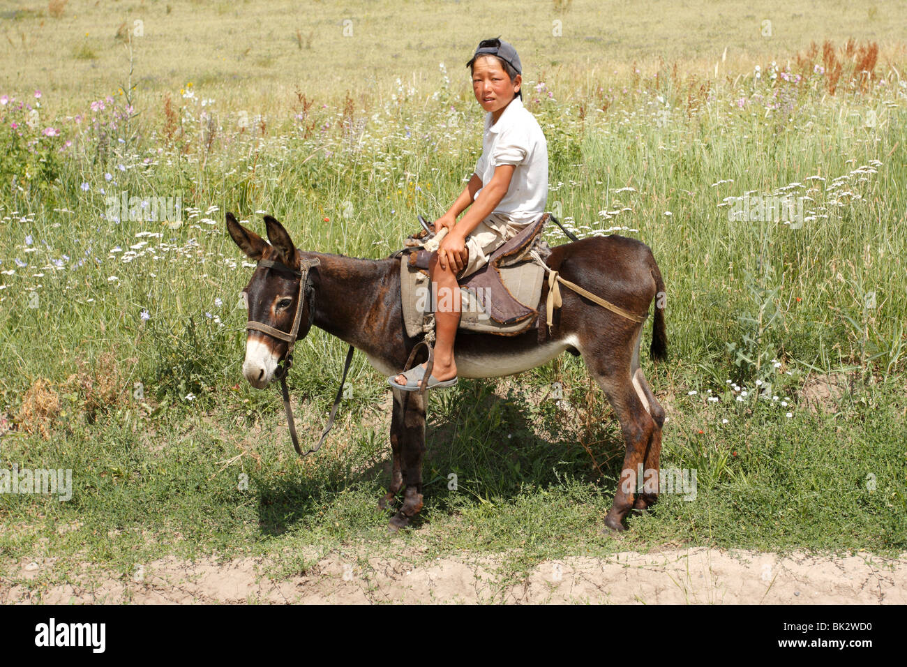 Boy riding a donkey hi-res stock photography and images - Alamy