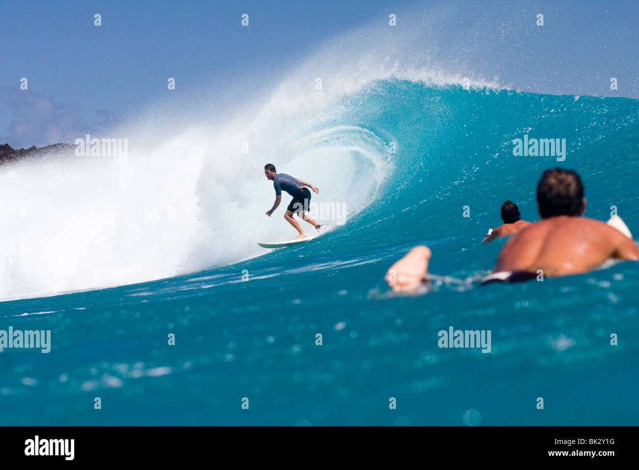 A surfer rides a wave in Hawaii Stock Photo - Alamy