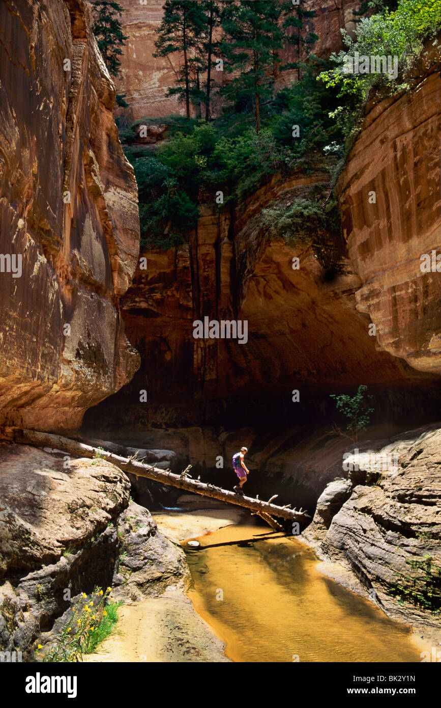 The subway rocks and river zion national park hi-res stock photography ...