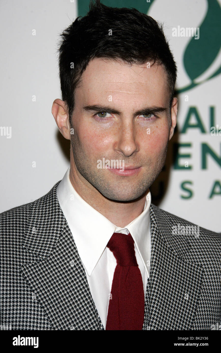 Adam levine and maroon 5 hi-res stock photography and images - Alamy