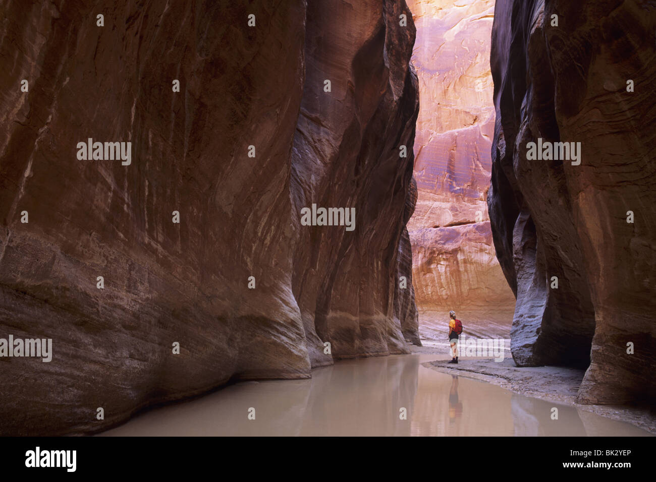 Hiking in the Paria Canyon narrows immediately above its confluence ...