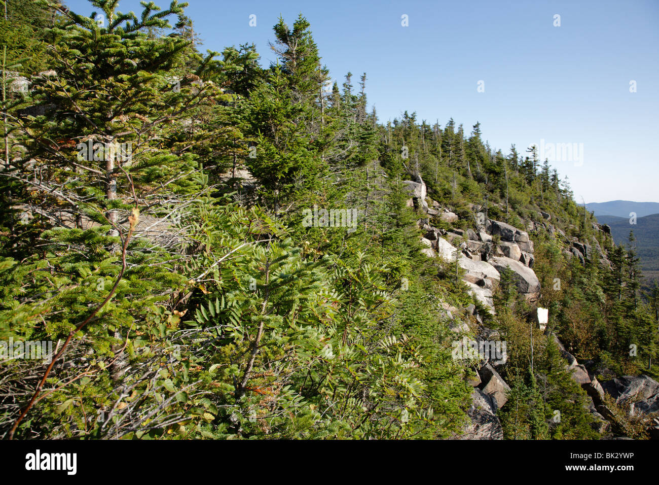 New zealand usa summit hi-res stock photography and images - Alamy