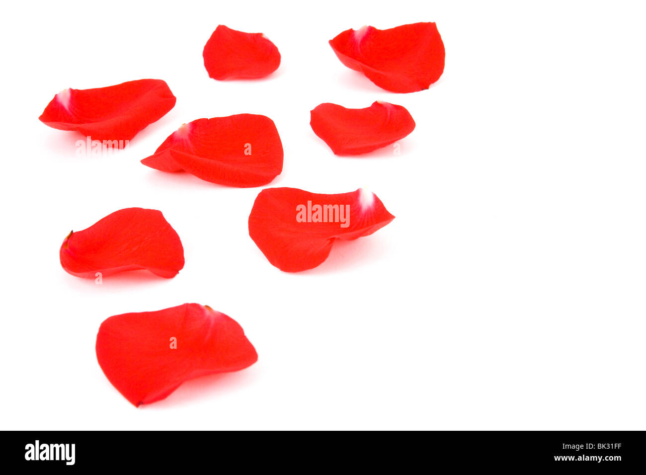 Red rose petals Stock Photo - Alamy