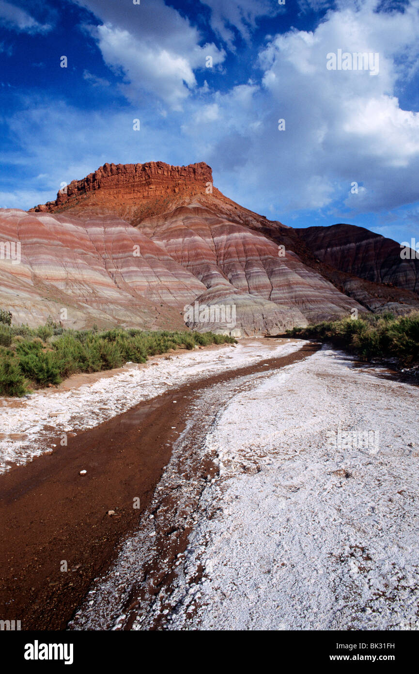 Alkaline-encrusted stream bed near Old Paria Townsite in Grand ...