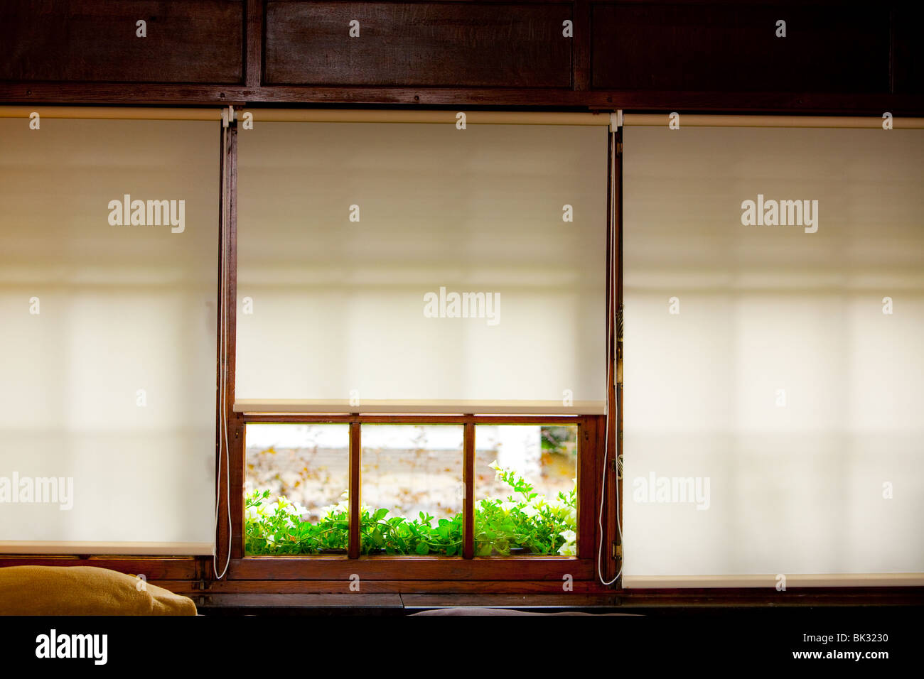 Curtains one open Stock Photo - Alamy