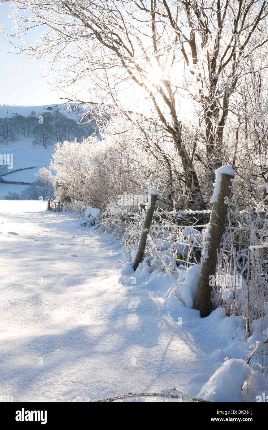 Welsh fence hi-res stock photography and images - Alamy