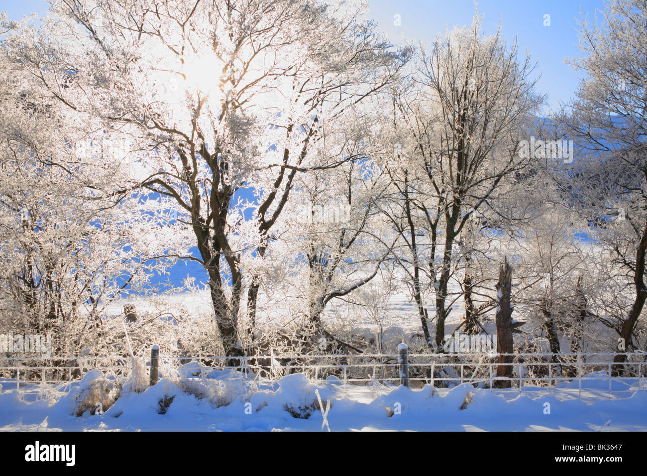 Sunshine hi-res stock photography and images - Alamy