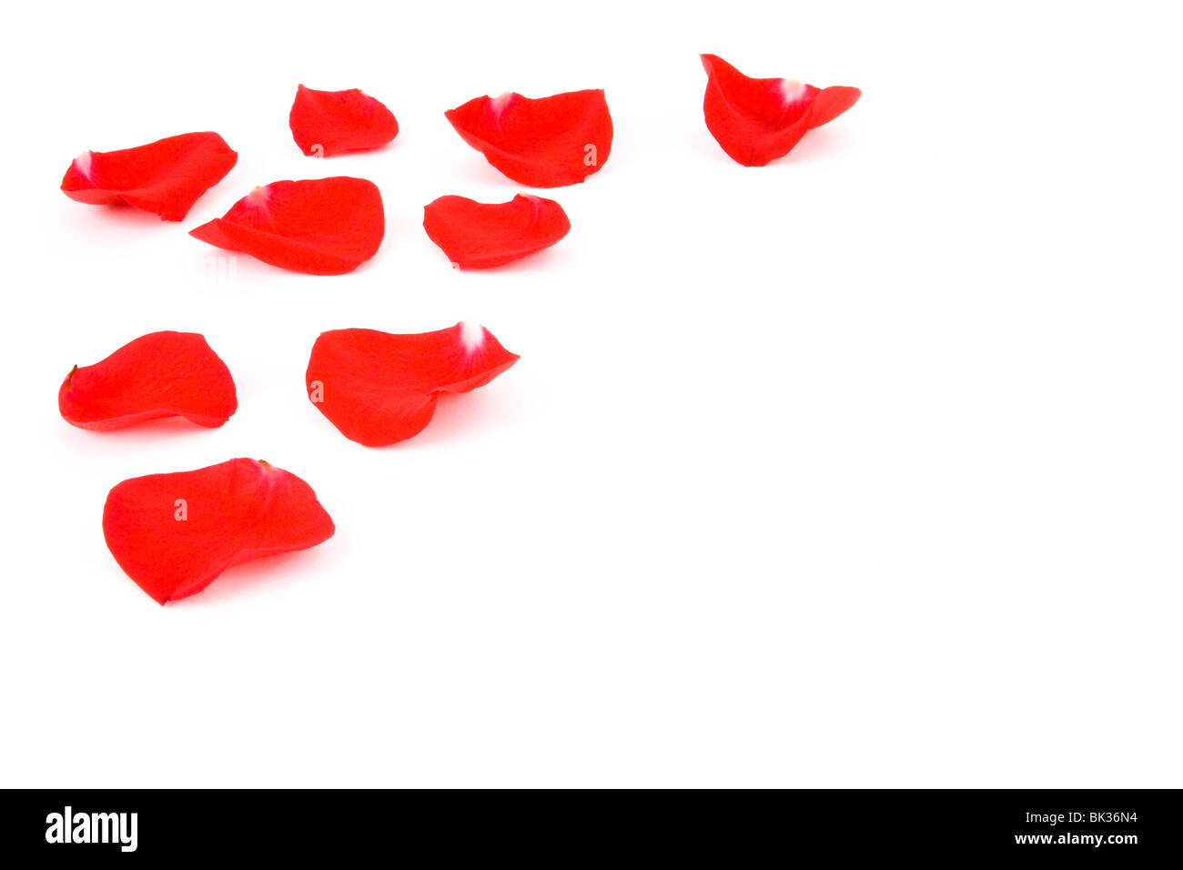 Rose petals hi-res stock photography and images - Alamy