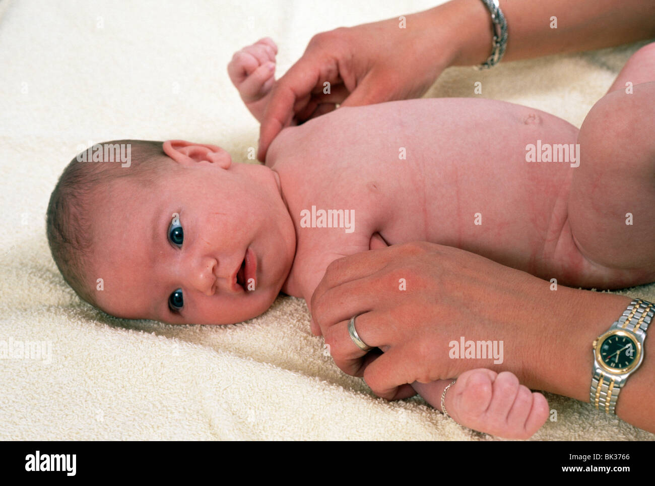 Checkup check up checks hi-res stock photography and images - Alamy