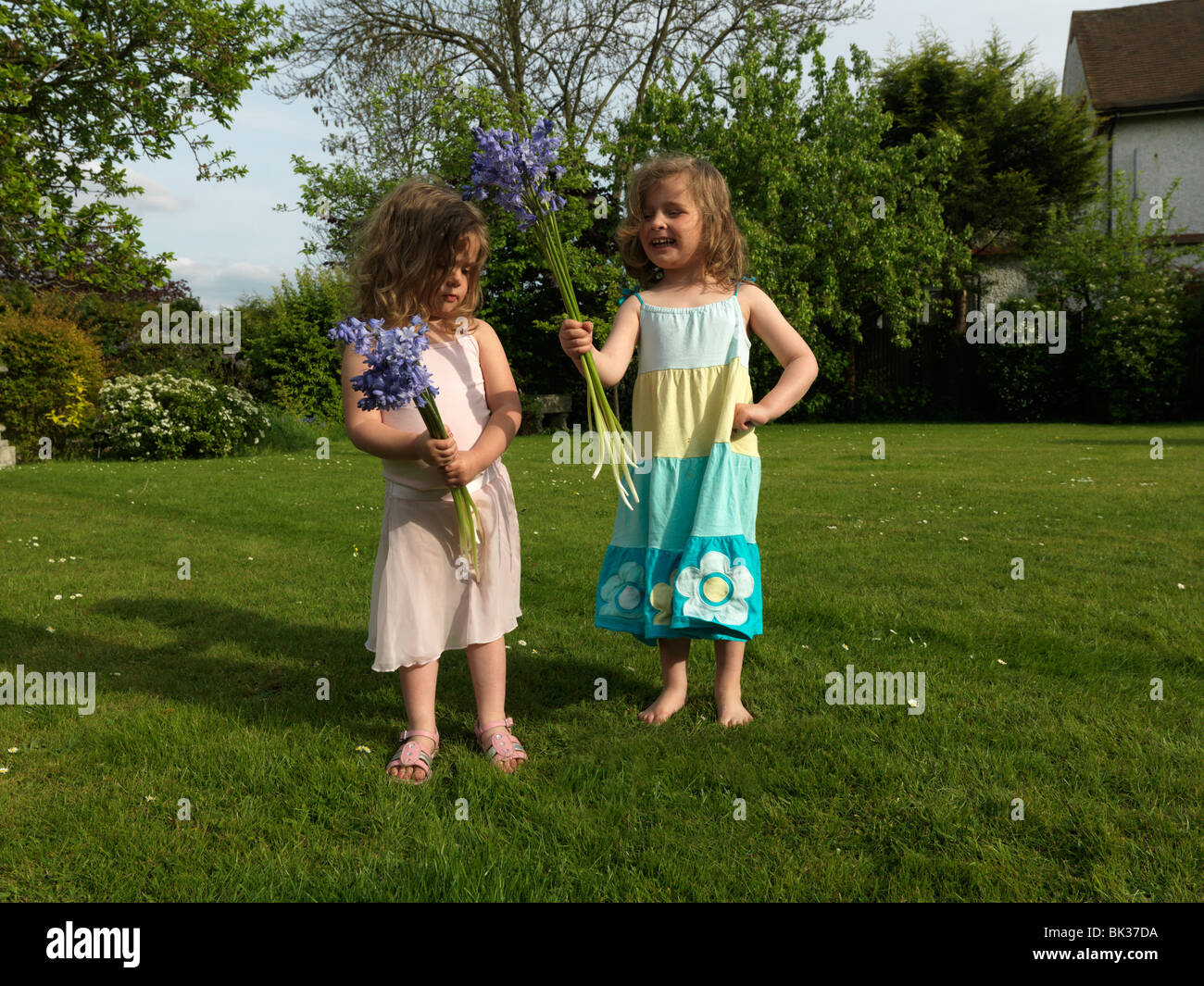 Two bluebells hi-res stock photography and images - Alamy