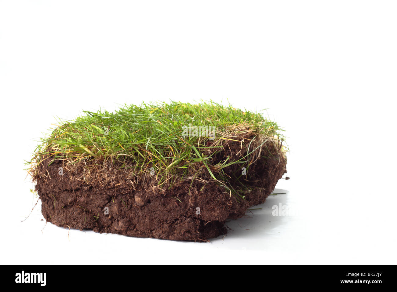 A section of lawn showing the soil and grass on a white background ...