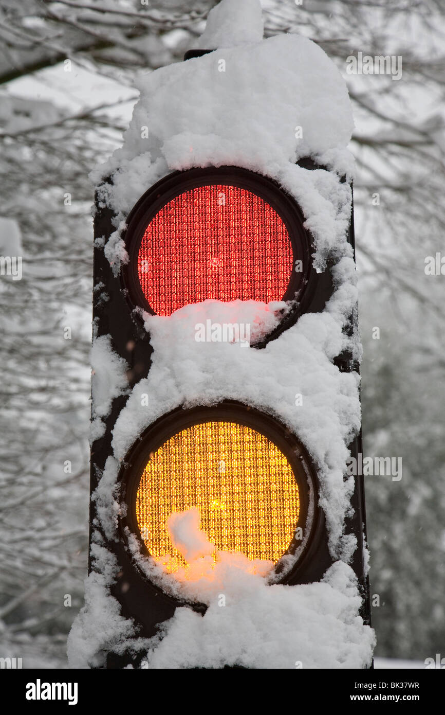 Snow covered traffic lights showing red and amber Stock Photo - Alamy