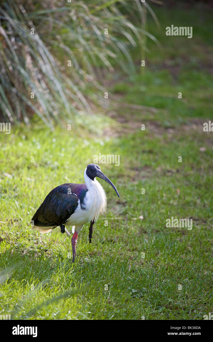 Side view leeds castle hi-res stock photography and images - Alamy