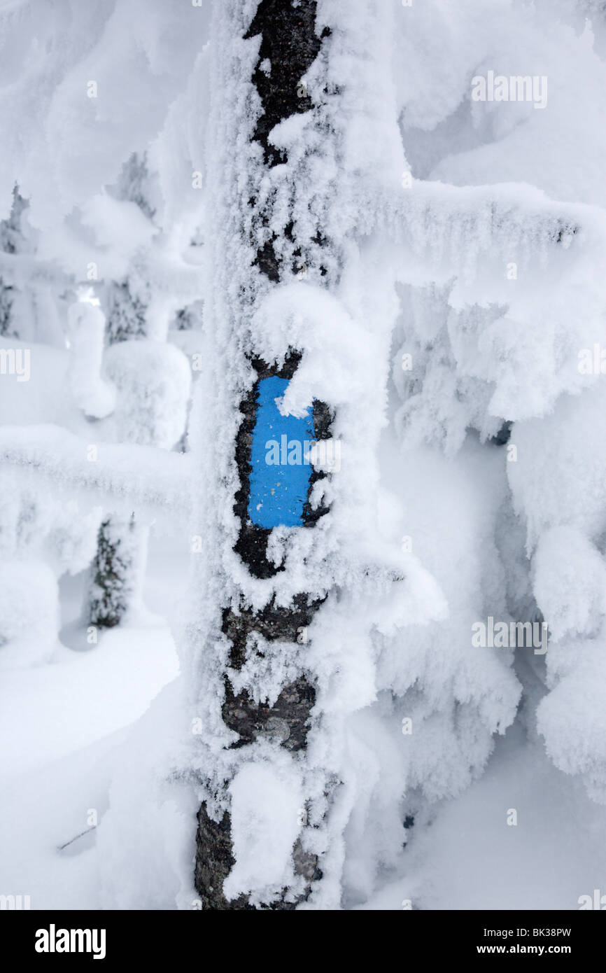 Franconia Notch State Park - Kinsman Ridge Trail during the winter ...