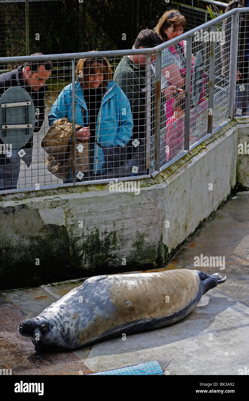 National seal hi-res stock photography and images - Alamy