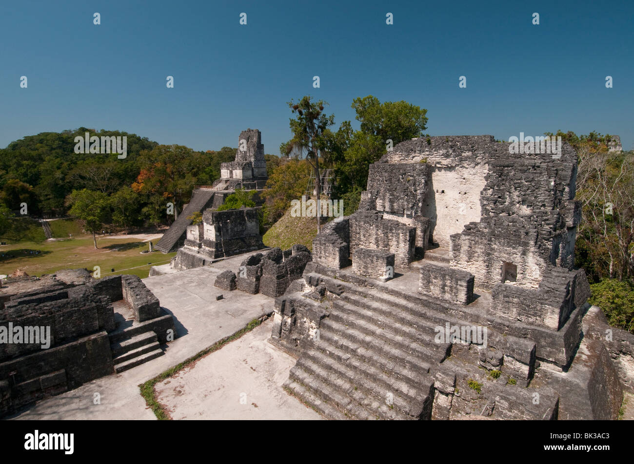 Temple II and Northern Acropolis, Mayan archaeological site, Tikal ...