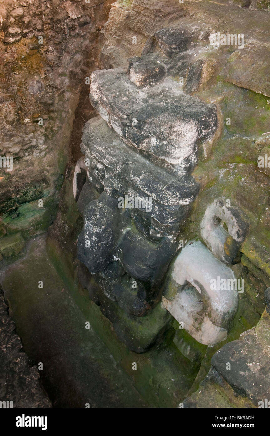 Relief carving at Northern Acropolis, Mayan archaeological site, Tikal ...