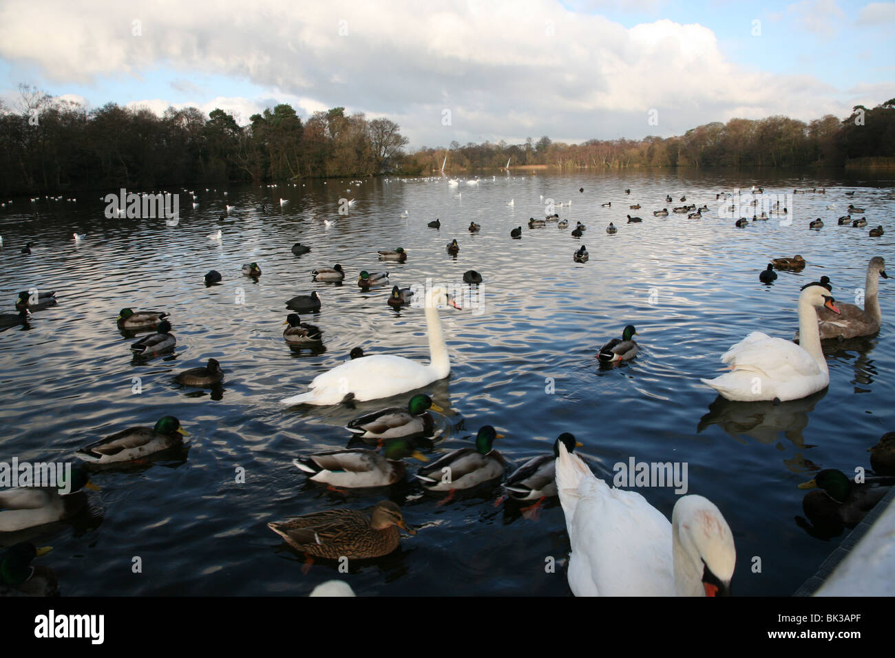 Redesmere hi-res stock photography and images - Alamy