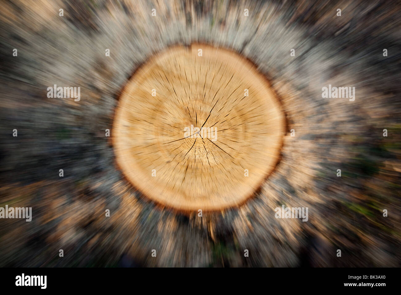 Zoom backgrounds hi-res stock photography and images - Alamy