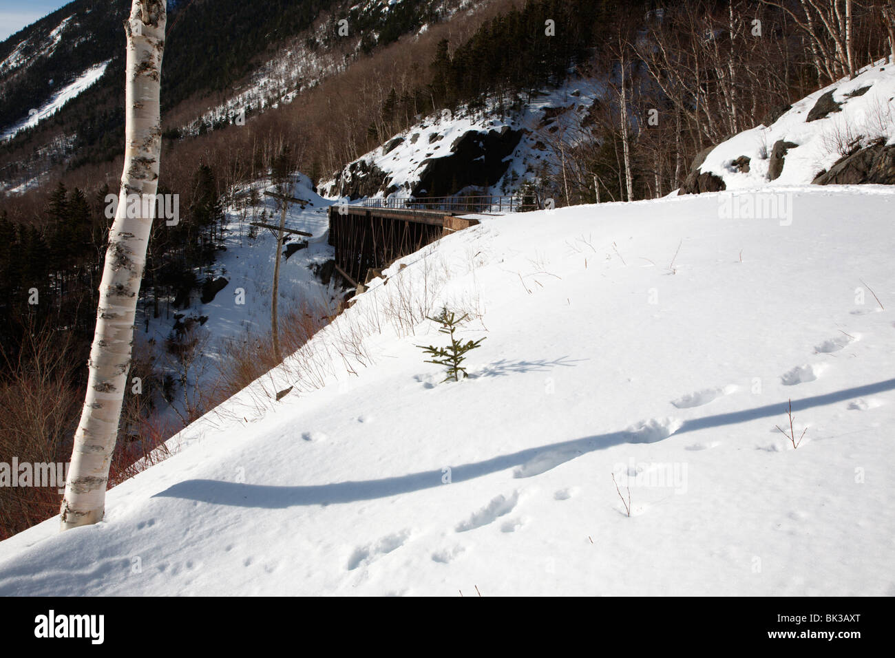 Crawford Notch State Park - Willey Brook Trestle during the winter ...