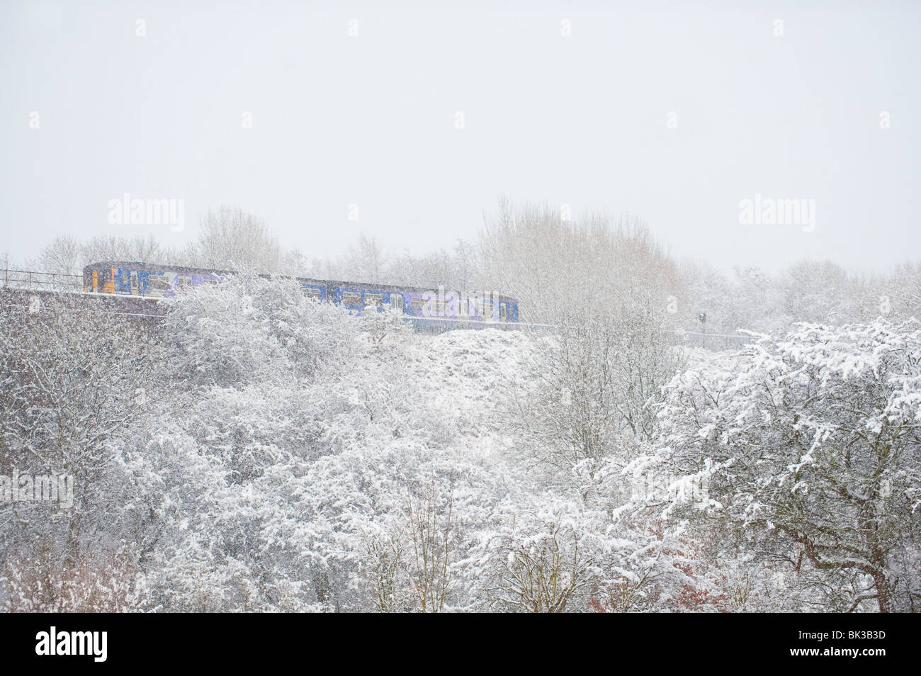 Reddish Vale, Country Park, Greater Manchester, UK Stock Photo - Alamy