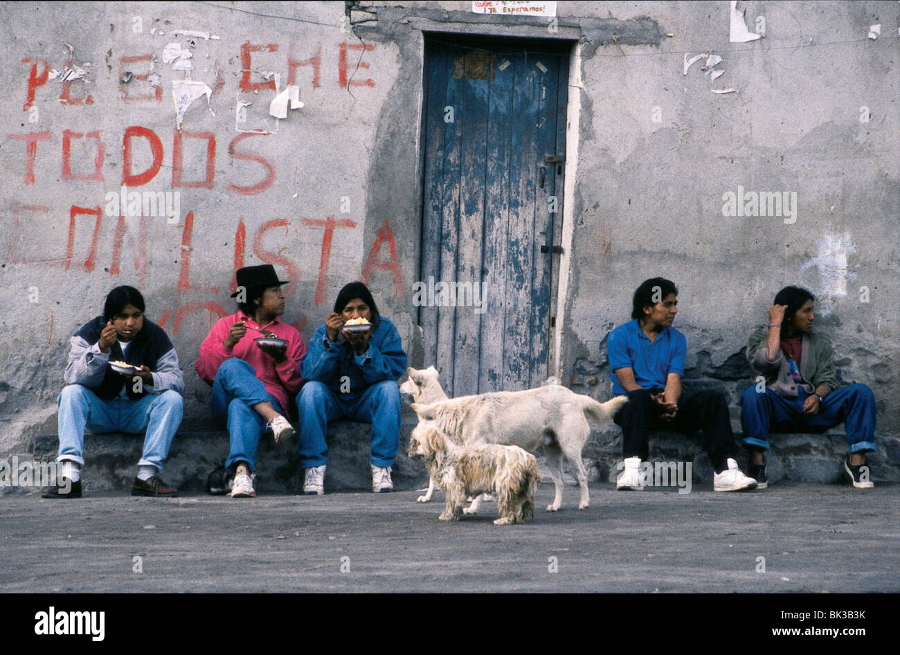 Three dogs watch as young adult males eat while sitting on a curb ...