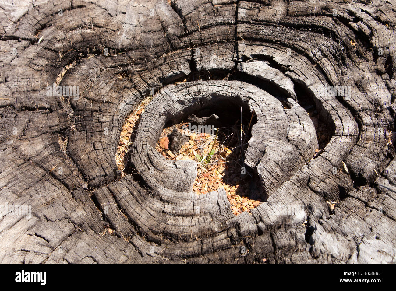 Australia pattern hi-res stock photography and images - Alamy