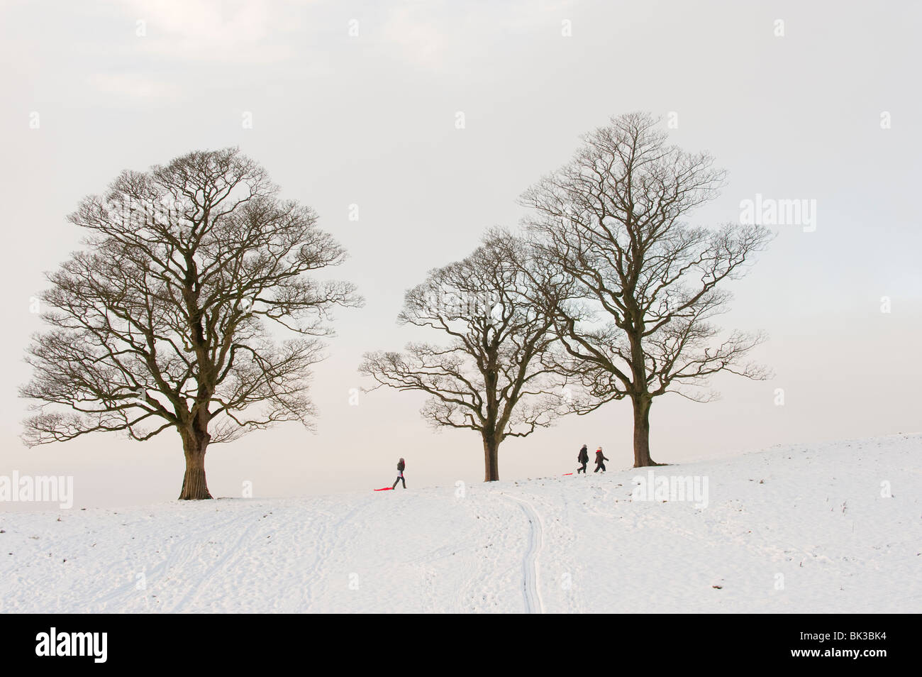 Sledging tobogganing hi-res stock photography and images - Alamy
