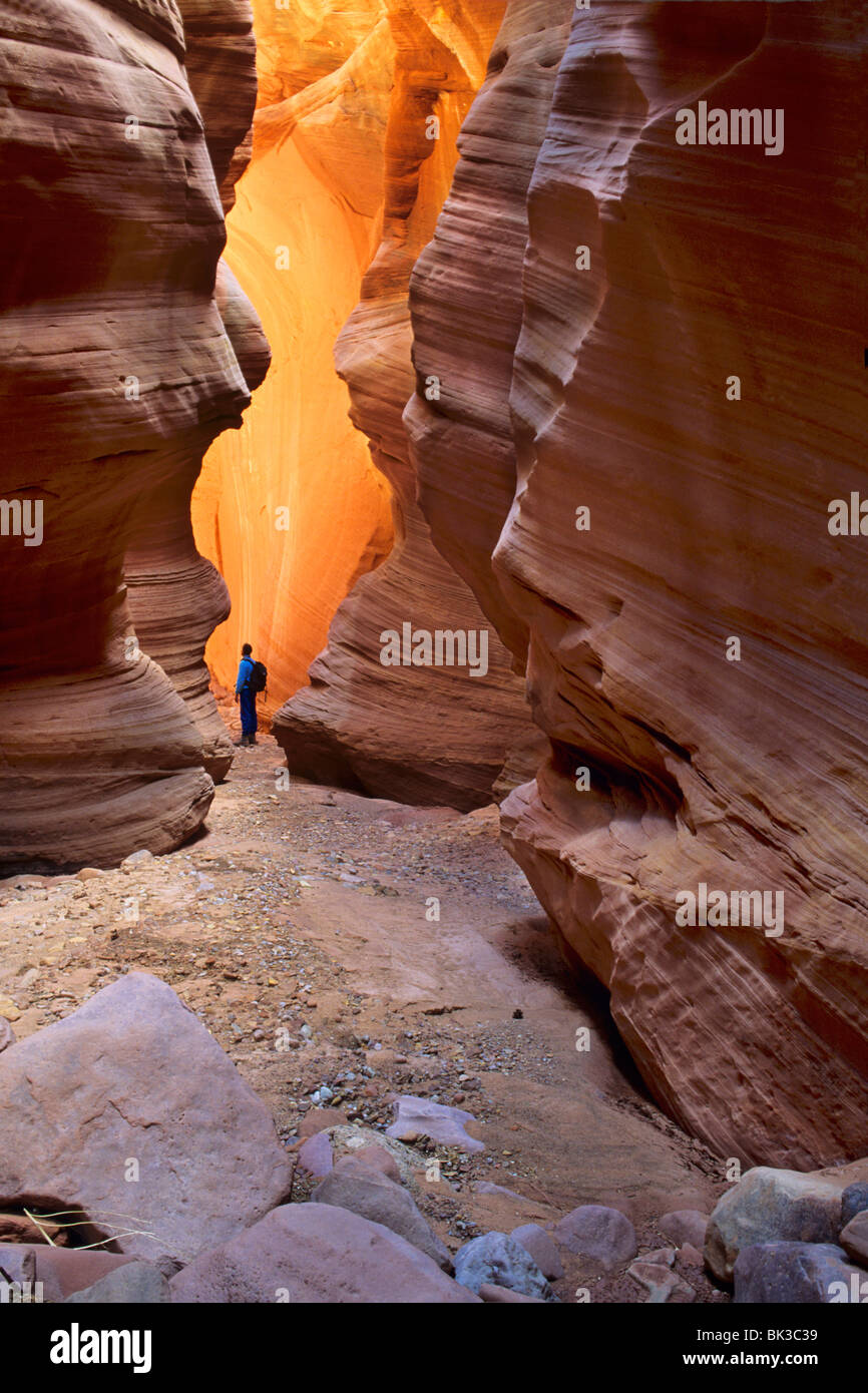 Man hiking in sandstone narrows of Dirty Devil Canyon, Utah Stock Photo ...