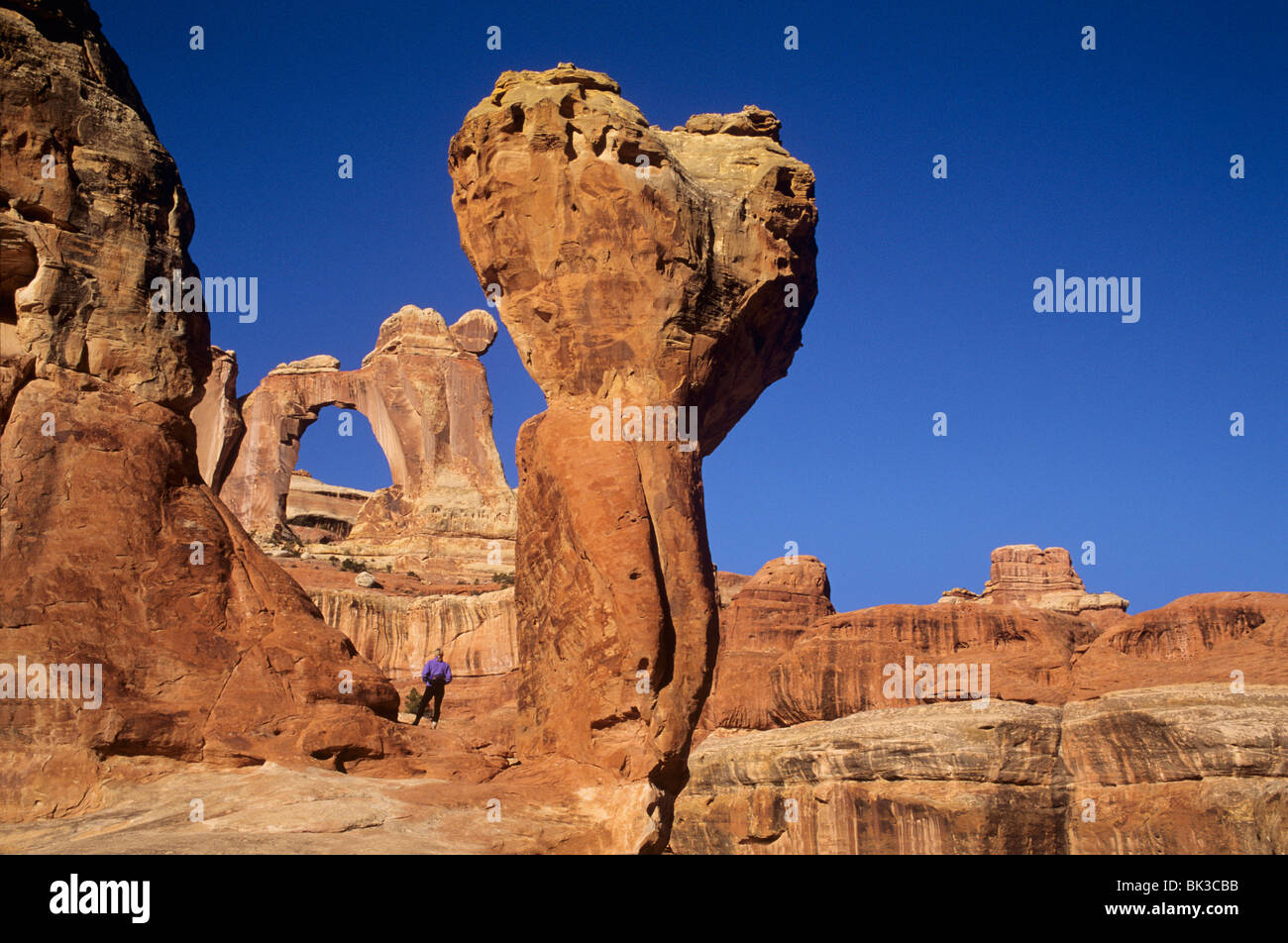 Angel Arch above Salt Creek Canyon in the Needles District of ...