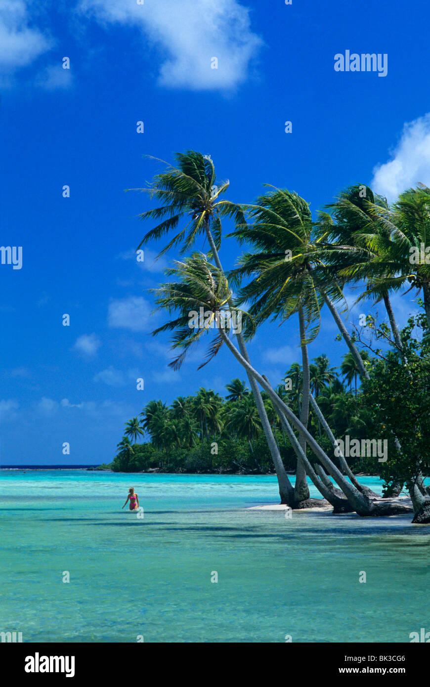 Woman beneath trees on hi-res stock photography and images - Alamy