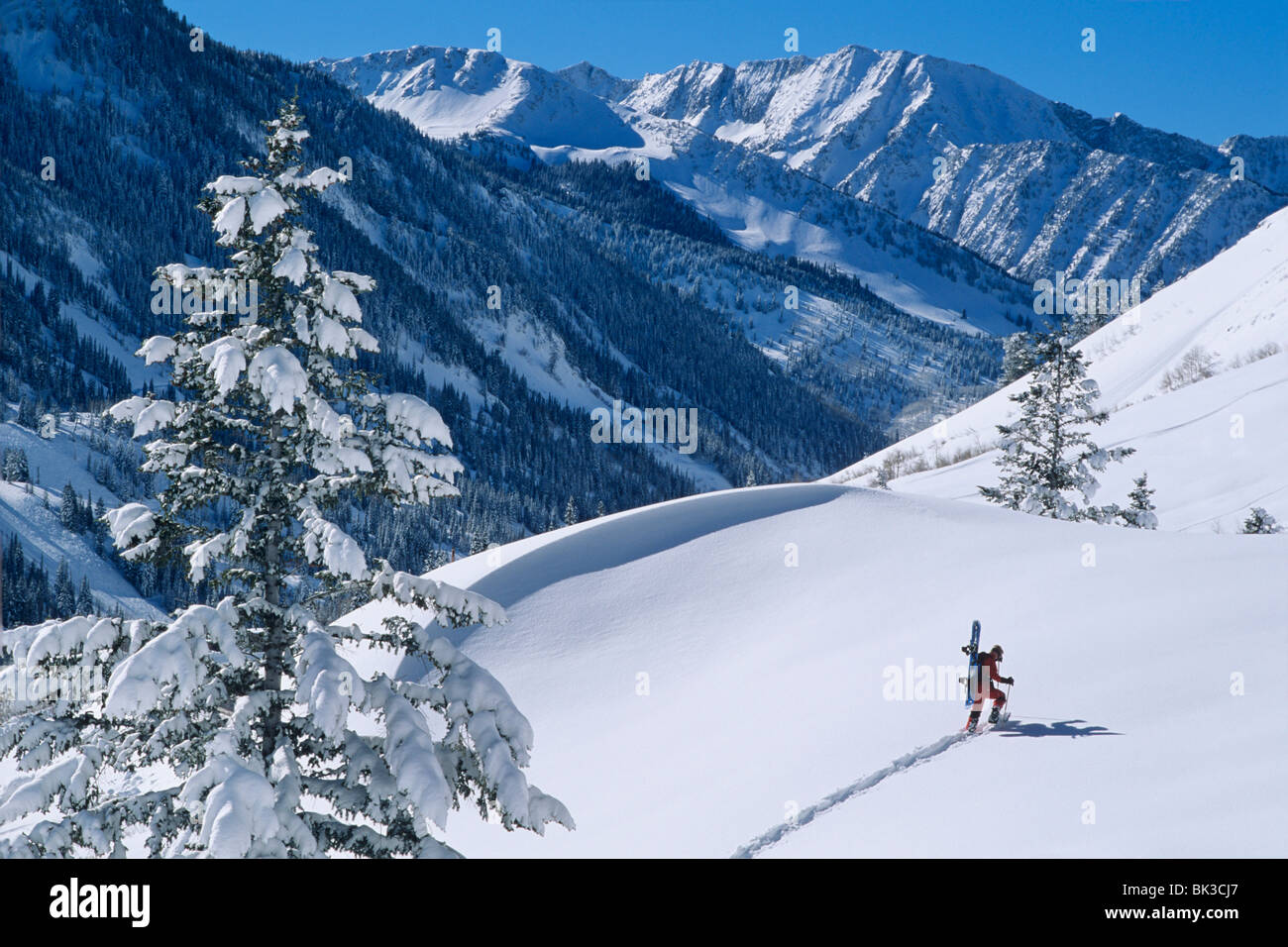 Snow shoeing below Hellgate Cliffs in Little Cottonwood Canyon, Wasatch ...