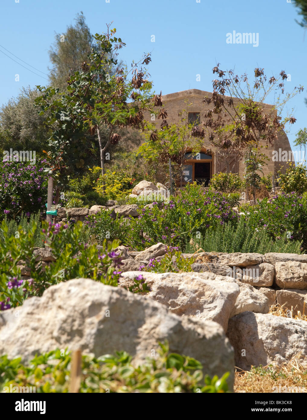 Paphos town centre hi-res stock photography and images - Alamy
