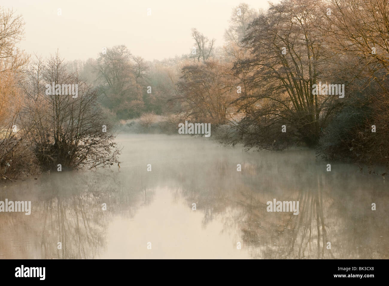 Teston Bridge Country Park, Kent, UK Stock Photo - Alamy